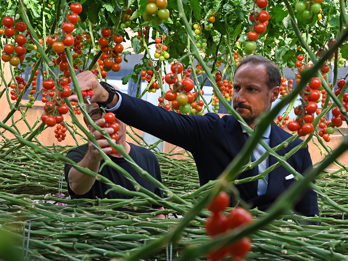 På Den Magiske Fabrikken - Det norske kongehusets barnesider